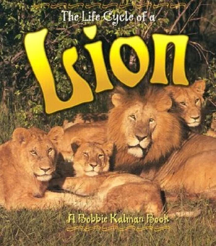 THE LIFE CYCLE of a Lion (Life Cycle S.) by Amanda Bishop NEUF EUR 35 ...