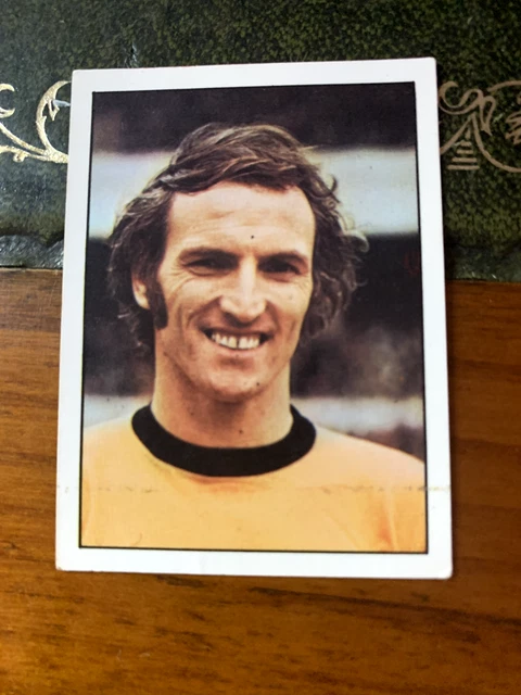 PANINI TOP SELLERS Football '72 #353 Derek Dougan Wolverhampton ...