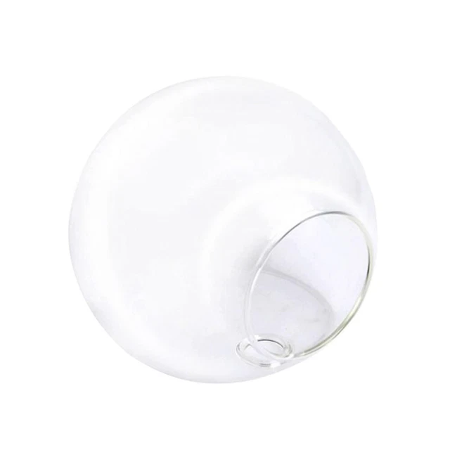 PFLANZEN WAND CONTAINER Anlage Terrarium Container Glas Topf EUR 14,58 ...