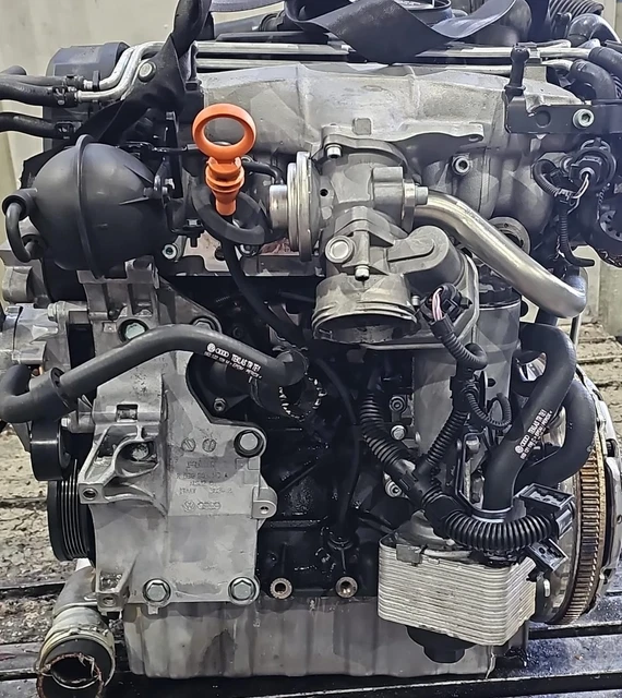 MOTORE SEMICOMPLETO VOLKSWAGEN Golf 5 Berlina BKD diesel 2000 (03>08 ...