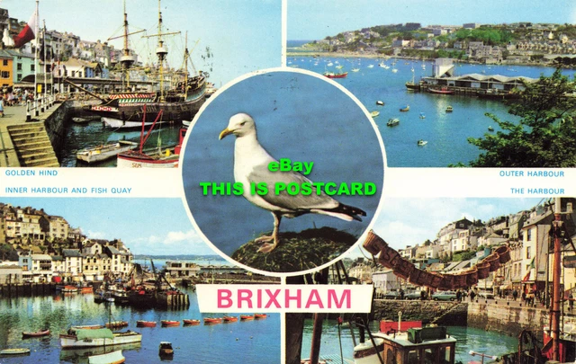 R578794 BRIXHAM. GOLDEN Hind. Inner Harbour and Fish Quay. E. T. W ...