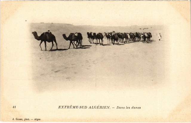 CPA ALGERIA ED. Geiser No. 44 Dans les dunes (804288) EUR 6,99 ...