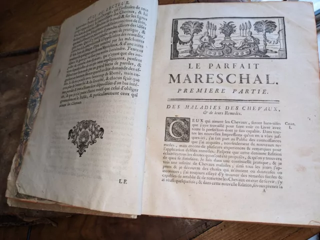 LIVRE ANCIEN-DE SOLLEYSEL - le parfait mareschal, 2/2 en 1 vol. -1754 ...