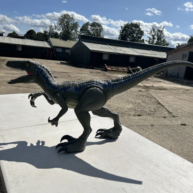 JURASSIC WORLD DINOSAUR Super Colossal Velociraptor Blue Figure Large ...