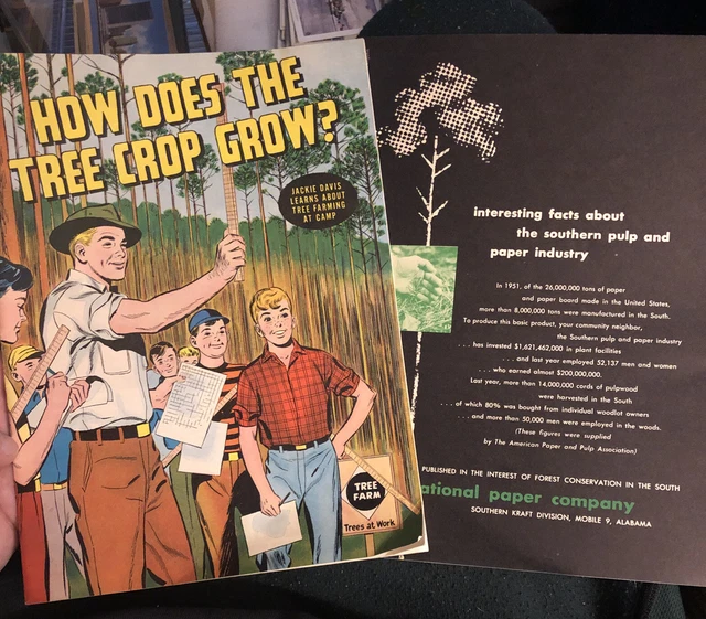 COMIC TEACHERS GUIDE How Does the Tree Crop Grow? International Paper ...
