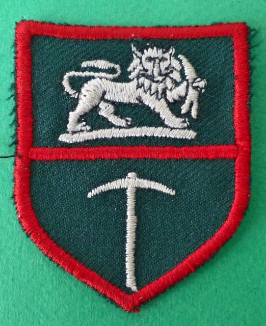 RHODESIA ARMY RIGHT Facing Rhodesian Africa Lion Pick Africa Bush War ...