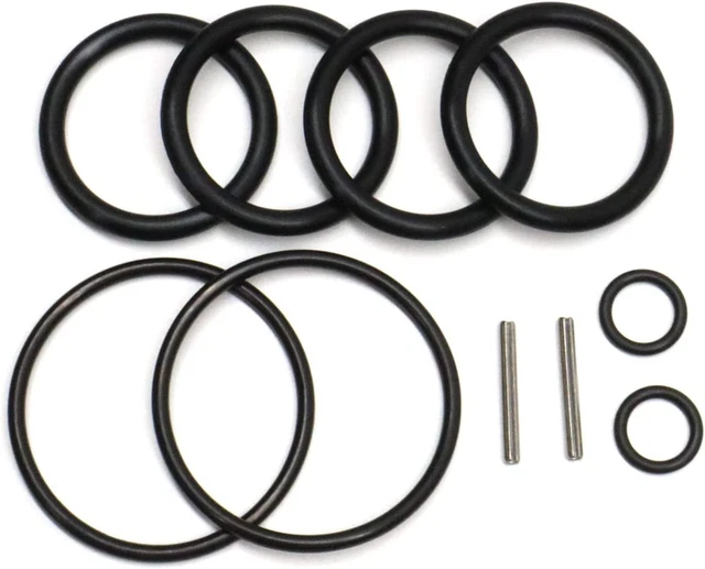 263054 O-RING KIT for Pentair/PacFab/Sta-Rite Slide Valve (2 sets) $17. ...