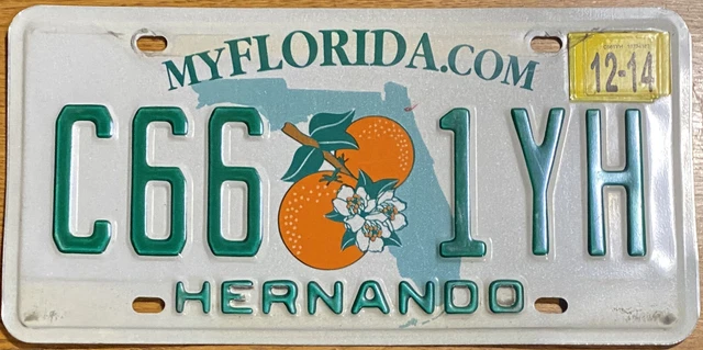 AUTHENTIC USA 2010'S FLORIDA "HERNANDO COUNTY" LICENSE PLATE. $25.99 ...