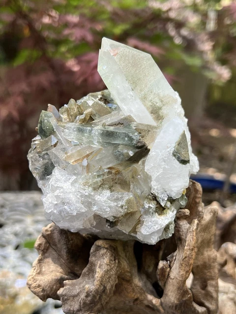 CHLORITE HIMALAYAN GARDEN Lodolite Quartz Green Quartz Cluster AAA+ 33 ...
