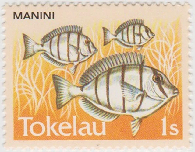 TOKELAU 1984 - 1s Fish - Manini - MNH $0.49 - PicClick AU