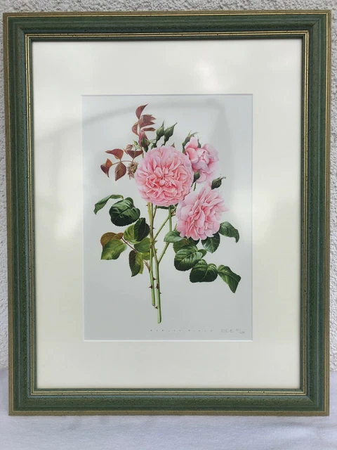 EVELYN BINNS STRAWBERRY Hill Handsigniert EUR 110,00 - PicClick DE