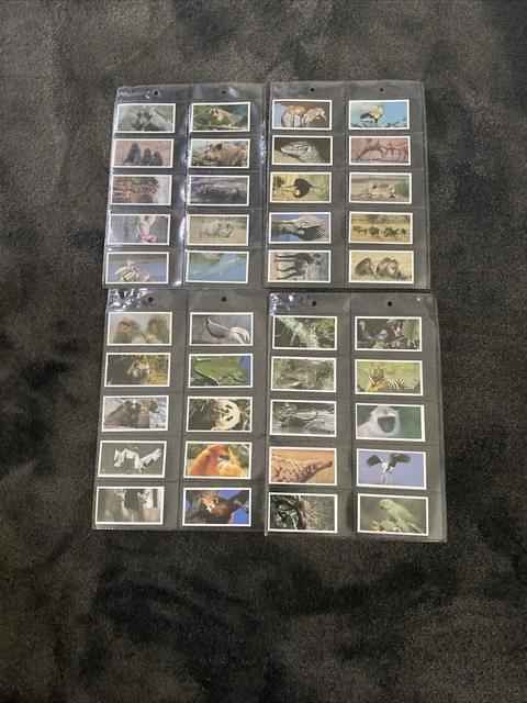 BROOKE BOND/PG TIPS Tea Cards Complete Lot 4 EUR 3,11 - PicClick IT