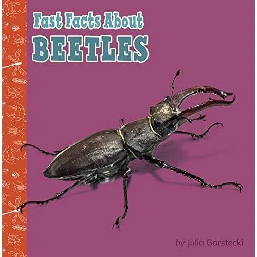 FAST FACTS ABOUT Beetles (Fast Facts about Bugs & Spide - Hardback NEW ...