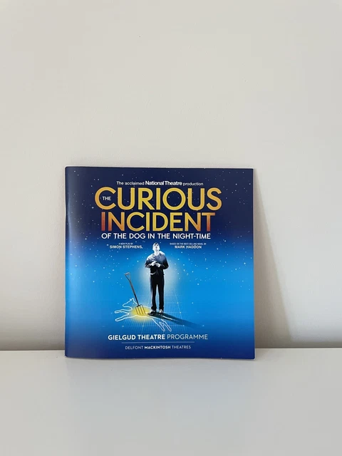 THE CURIOUS INCIDENT Of The Dog In The Night Time 2016 West End ...