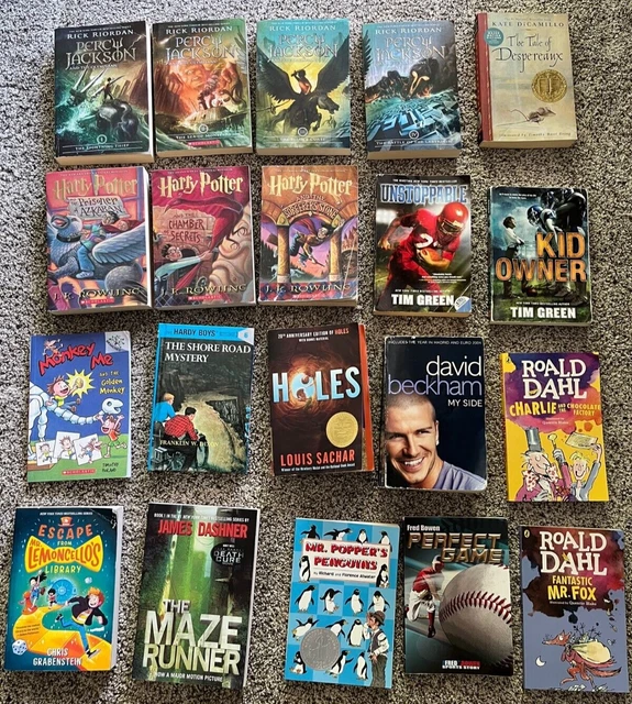 LOT OF 20 Young Adult Chapter Books EXCELENT CONDITION! Series Potter ...