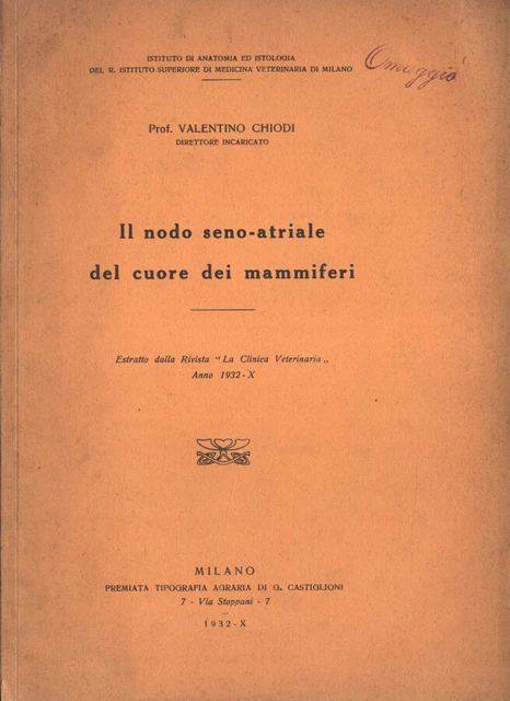 IL NODO SENO - atriale del cuore dei mammiferi. . Prof. Valentino ...