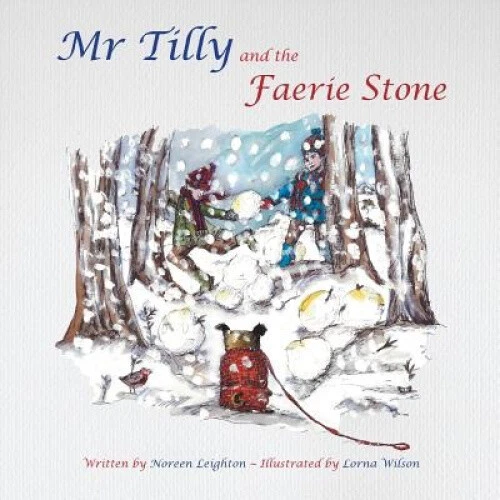 MR TILLY AND the Faerie Stone by Noreen Leighton $39.49 - PicClick AU