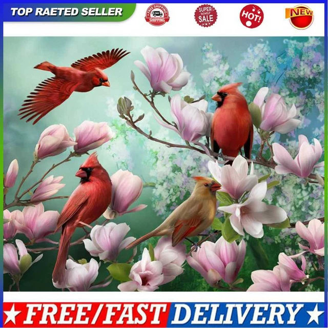 QUADRO DA COLORARE per olio dipinto a mano arte senza cornice fai da te ...