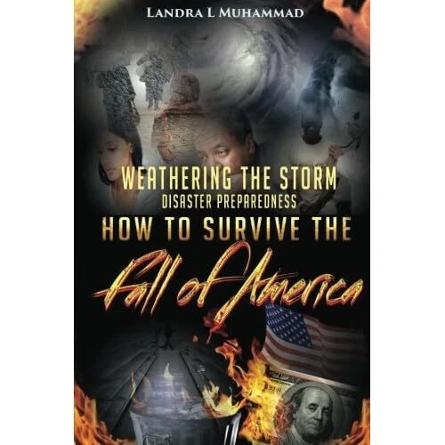 WEATHERING THE STORM: Disaster Preparedness How to Surv - Paperback NEW ...
