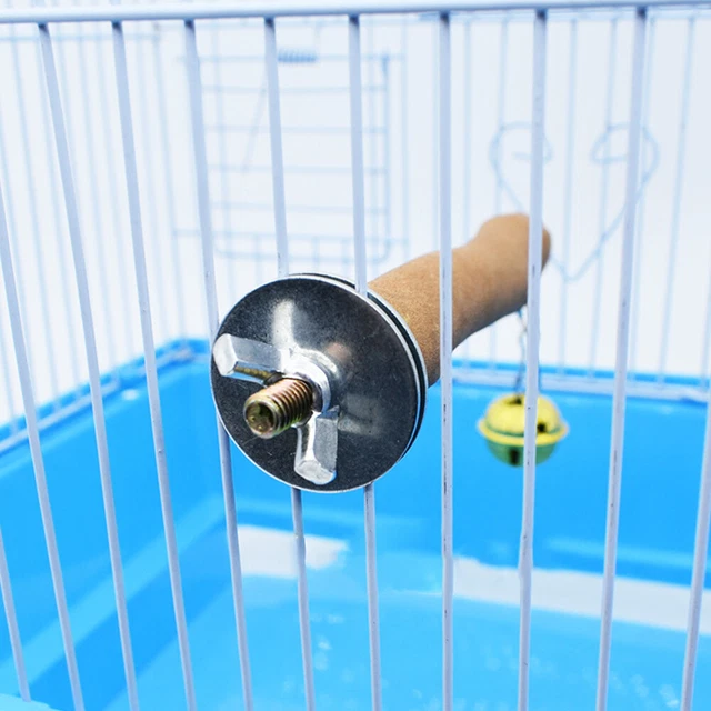 PAPPAGALLO IN PIEDI palo in legno uccellino posatoio zampa ramo ...