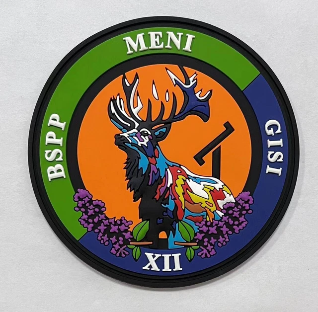 ECUSSONS SÉCURITÉ CIVILE pompiers sécurité civile 12 EME COMPAGNIE BSPP ...