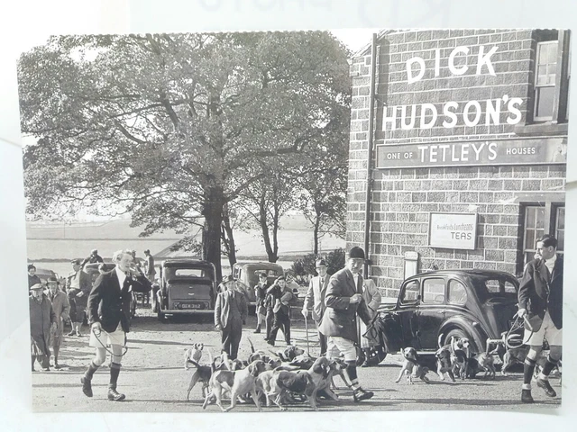 AIREDALE BEAGLES PACK at Dick Hudsons Pub High Eldwick 1947 Vtg Repro ...