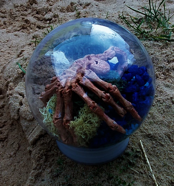 PET FACE HUGGER with biodome, moss and rock. Aliens. Romulus £33.00 ...