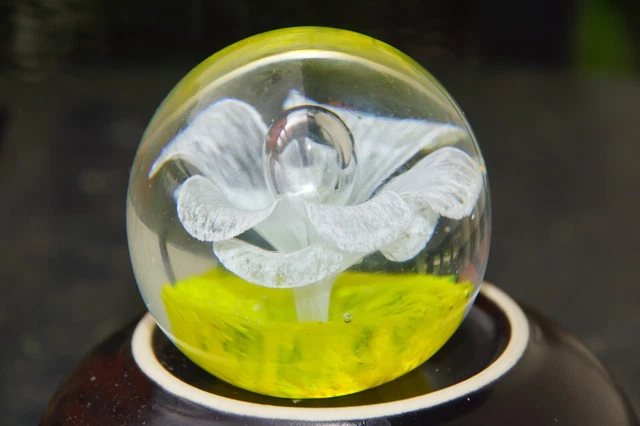 RARE PRESSE PAPIER Boule Sulfure Fleurs Banches "lys" jaune signé cody ...