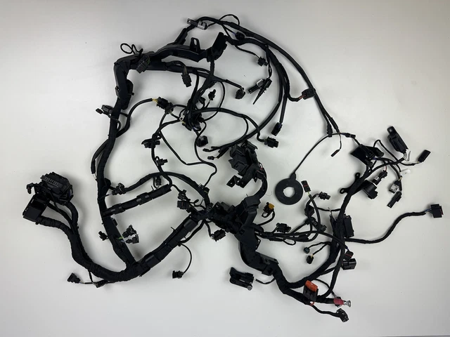 BMW S1000R K63 2021-2024 Main Harness Harness Wire Harness Main Wiring ...
