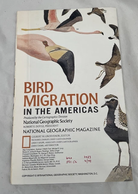 VINTAGE NATIONAL GEOGRAPHIC Map Bird Migration In The Americas August ...