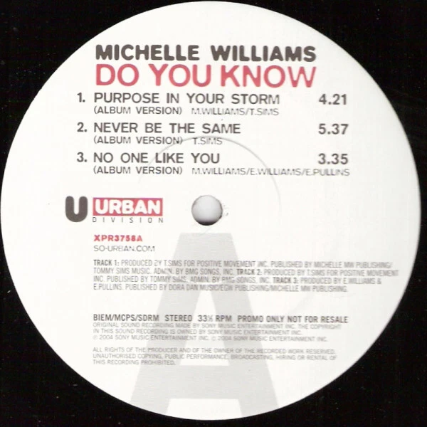 MICHELLE WILLIAMS - Do You Know - Disque vinyle d'occasion 12 - B12198A ...
