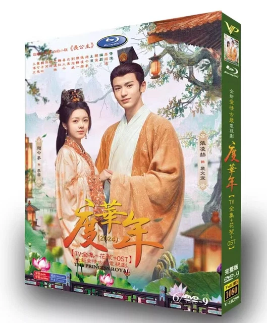 2024 CHINESE DRAMA The Princess Royal 度华年 DVD-9 Chinese Sub Free Region ...