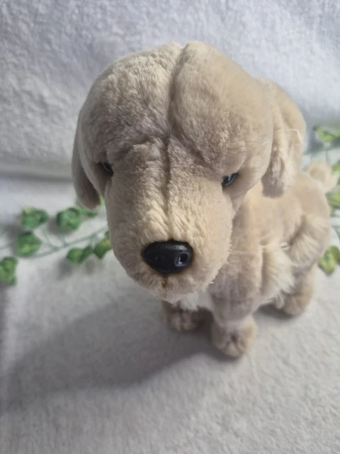 E & J Classic Collection Realistic Sitting Golden Retriever approx 13 ...