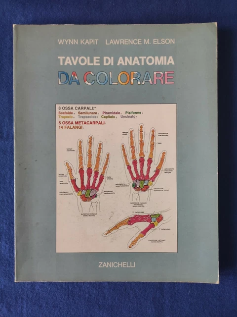 TAVOLE DI ANATOMIA da colorare Wynn Kapit 1989 Zanichelli EUR 17,00 ...