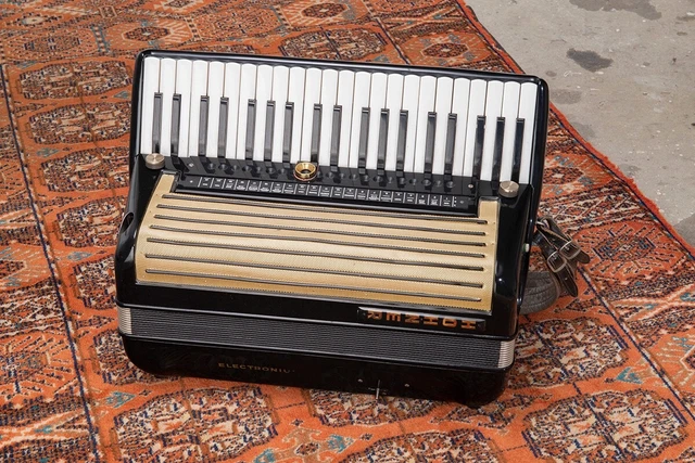 HOHNER ELECTRONIUM AKKORDEON-SYNTHESIZER EUR 59,78 - PicClick DE