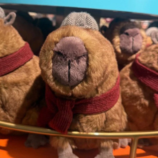 JELLY/CAT CLYDE CAPYBARA Christmas Plush Doll Toy Tags +Dust Bag Party ...