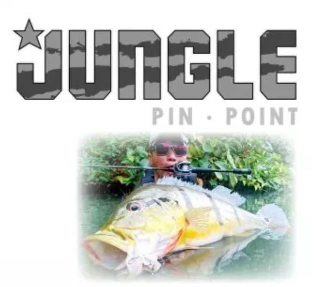 SALE FEED ROD Baitcast Jungle Pin Point JBC-66 M P.E 2 Max (0163) $367. ...