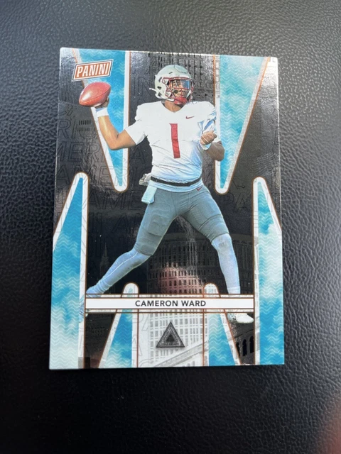 CARTE SP CAMERON Ward 2024 National Panini EUR 0,91 - PicClick FR