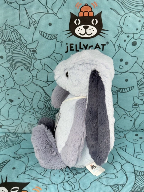 JELLYCAT PUDDLESEA BUNNY Cute Doll With Tags Brand New With Dust Bag £ ...