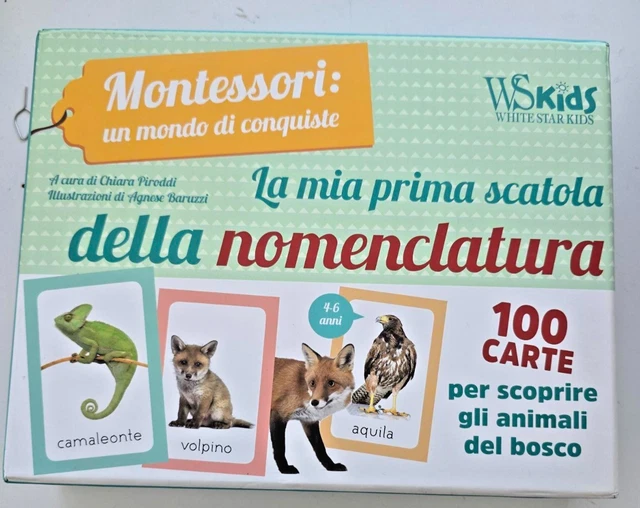 LA MIA PRIMA scatola della nomenclatura. Montessori: un mondo di ...