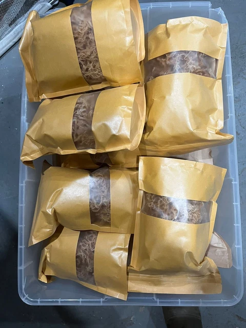 SEA MOSS ORGANIC Gold Dr Sebi Grade (Irish Moss) WildCraftedMoss ... SEA MOSS ORGANIC Gold Dr Sebi Grade (Irish Moss) WildCraftedMoss ...
