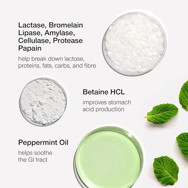 DIGESTIVE ENZYME SUPPLEMENTS with Betaine HCL 7 Digestive Enzymes for ...