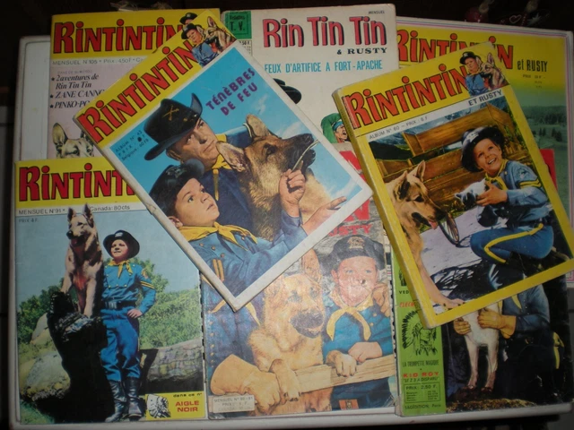 LOT DE 12 RINTINTIN / SAGEDITION EUR 9,90 - PicClick FR