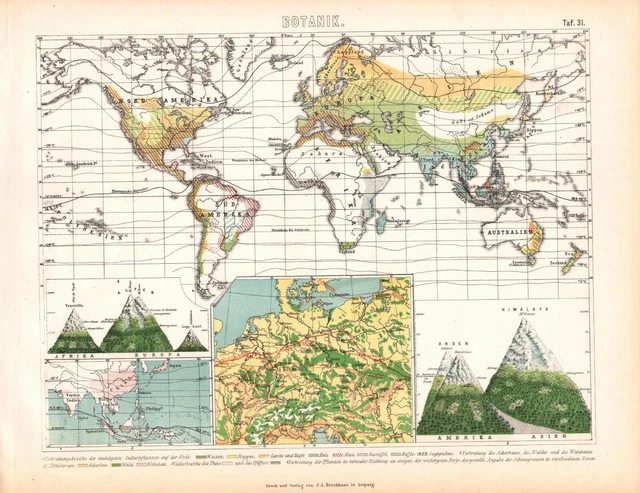 1870. ANTIQUE MAP. THE WORLD MAP OF VEGETATION & PLANT DISTRIBUTION. £9 ...