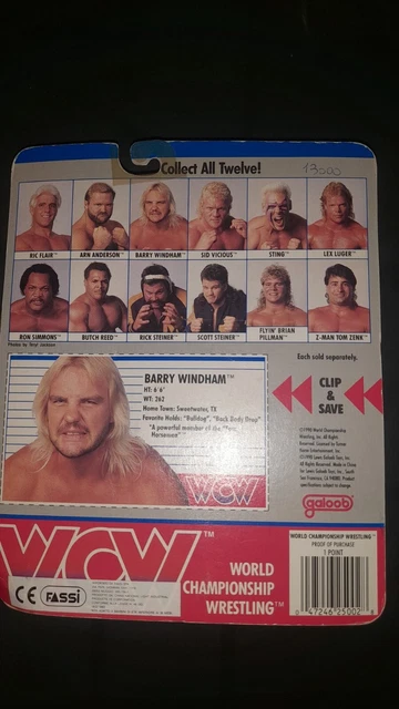 BARRY WINDHAM WRESTLING wcw world championship galoop fassi total ...
