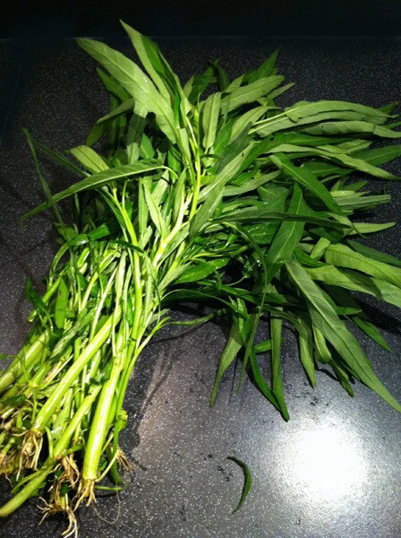 BANGLADESHI VEGETABLE KOLMI Kolum Shak Water Spinach Kangkong 30 Seeds ...