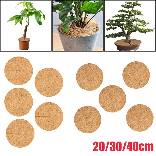 NATURAL AND THICK Coconut Fiber Tree Mats Effective Plant Protection ...