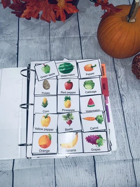 250 BUNDLE PICTURES For Non Verbal Communication Therapy Teachers 