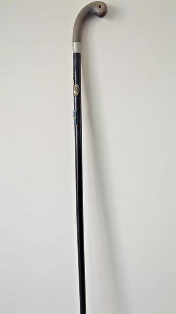 ANTIQUE BLAUSEE HUNTING Walking Cane with Horn Handle & Alpine Goat ...