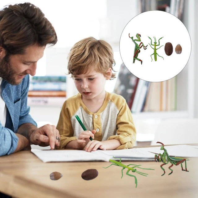 LIFE CYCLE FIGURINES Set Life Cycle Exploration Toy £7.47 - PicClick UK